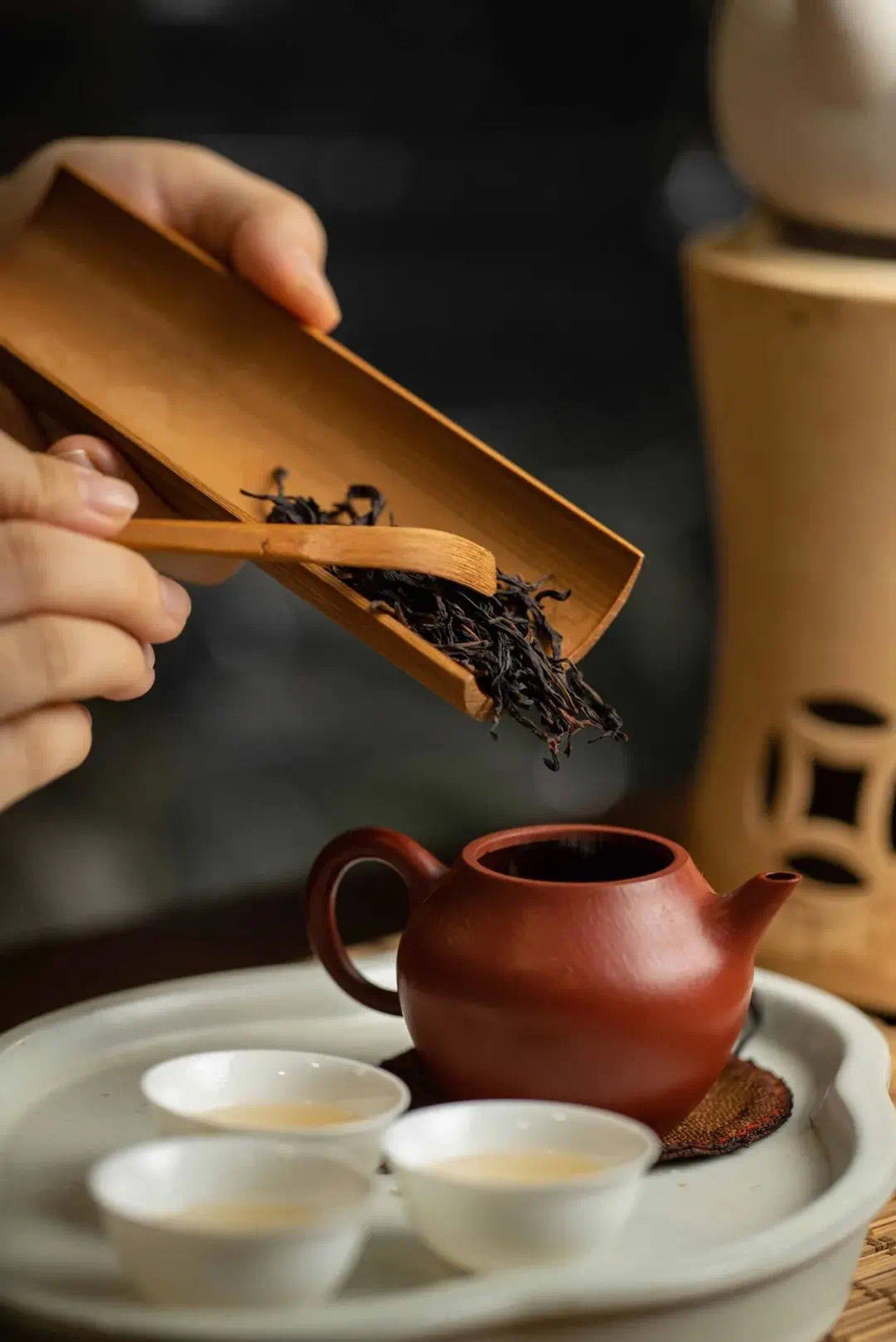 Tea Academy – Chinese Tea Alliance